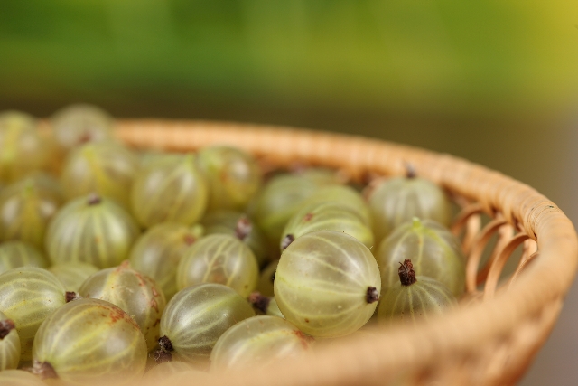 Ogrozd - malena bobica za zdravlje! - Ordinacija.hr