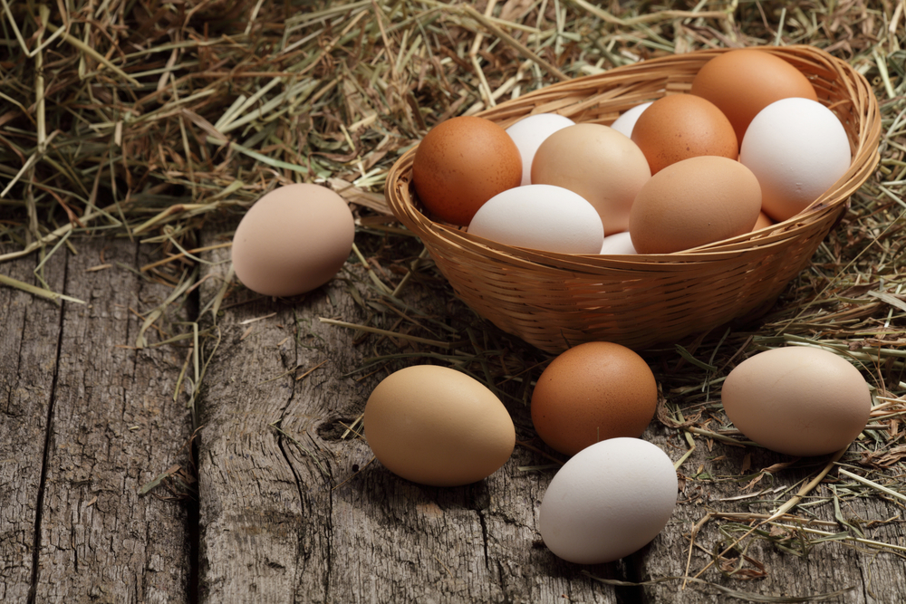 Što morate znati o salmoneli i salmonelozi? 5 najvažnijih koraka u ...